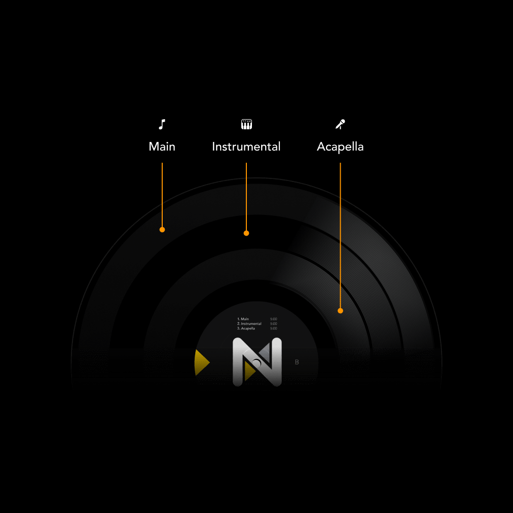 Algoriddim - Djay Official Control Vinyl - Black - 1 Record – Sunday ...